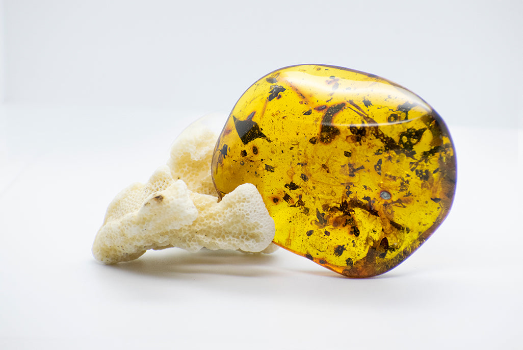 ¿De dónde viene el ámbar Mexicano? | Guapinol